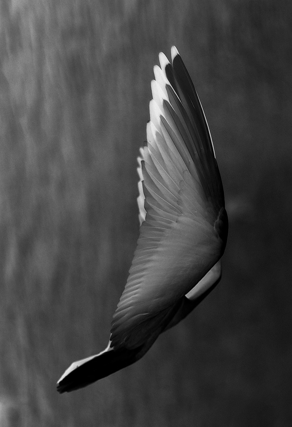 Design Cove: Inverted Photography by Tor Dahlin