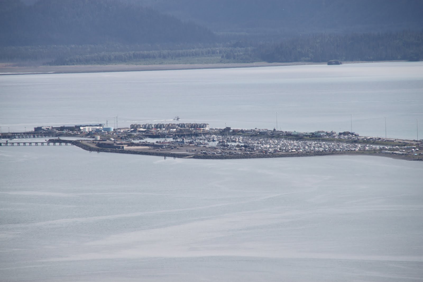 Texas Dream Chasers: This & That From Homer, Alaska