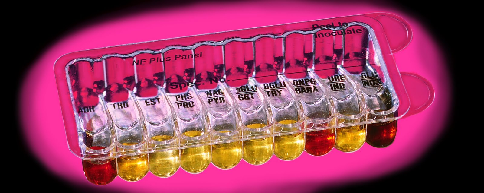 Laboratory News Network: Rapid identification of clinically significant ...