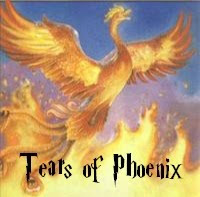 Harry Potter Birthday Party: Potions Class