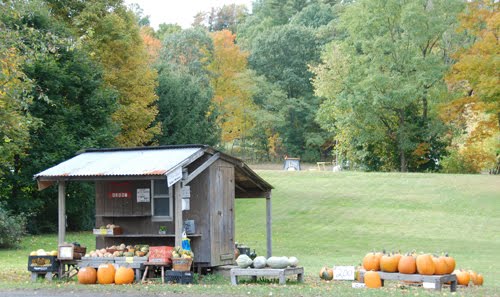 Why Oh Why?: Local Farm Stands