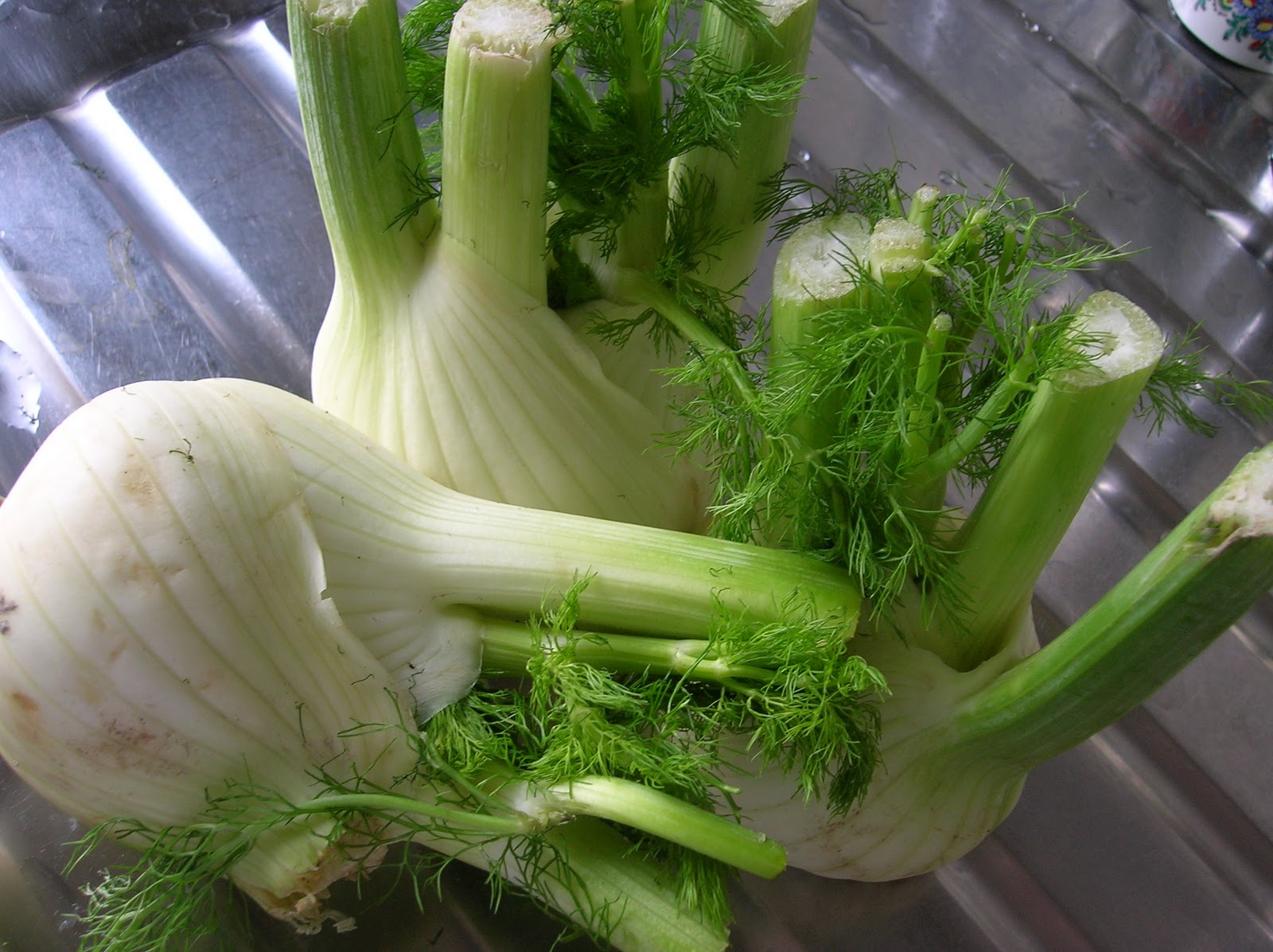 Curiosando in dispensa.....i finocchi