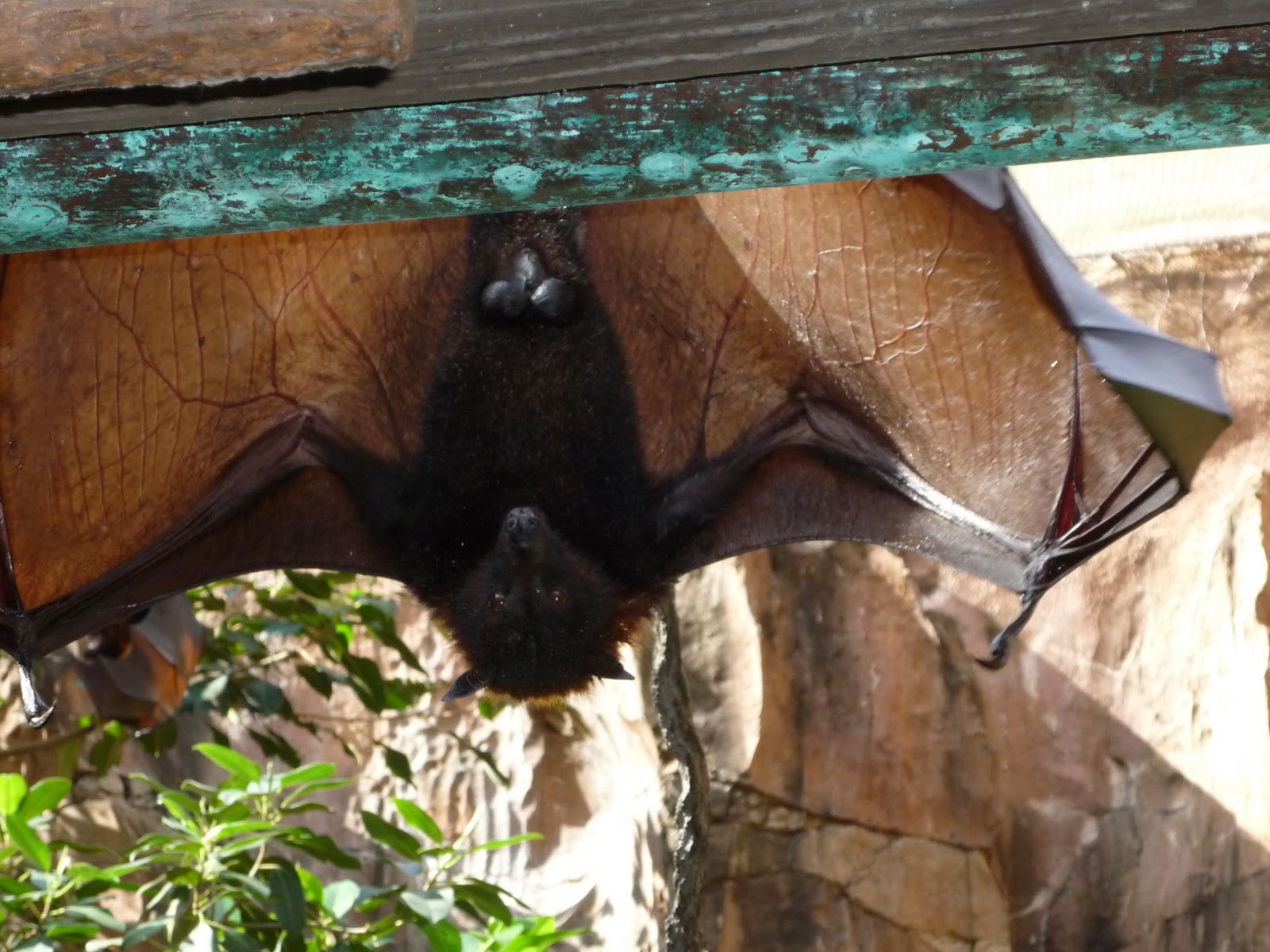 Hungry Like The Wolfgram: Ironman: The Aftermath