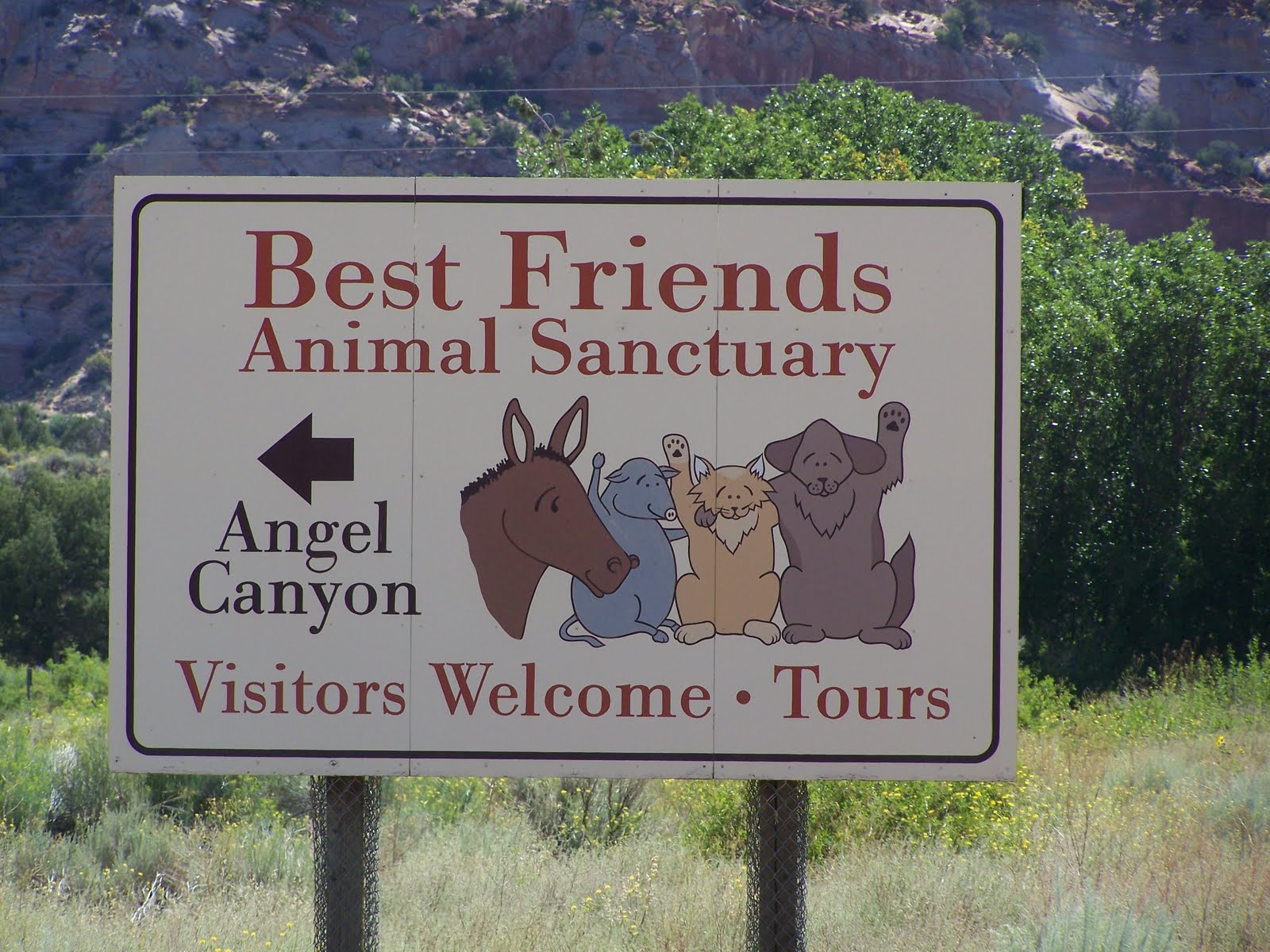 Up to Speed: Best Friends Animal Sanctuary