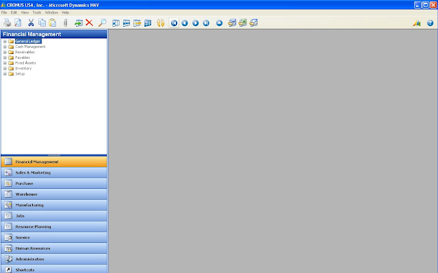 Fritz Raffler's Navision Tips and Tricks