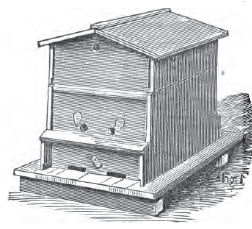 Bee Hive Journal - Help and advice for beekeepers