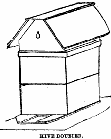 Bee Hive Journal - Help and advice for beekeepers