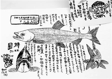 Cosmos Blog: Sakana-kun (Mr. Fish)