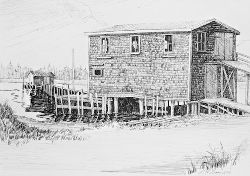 L. Williams Studio: A drawing a day 2011