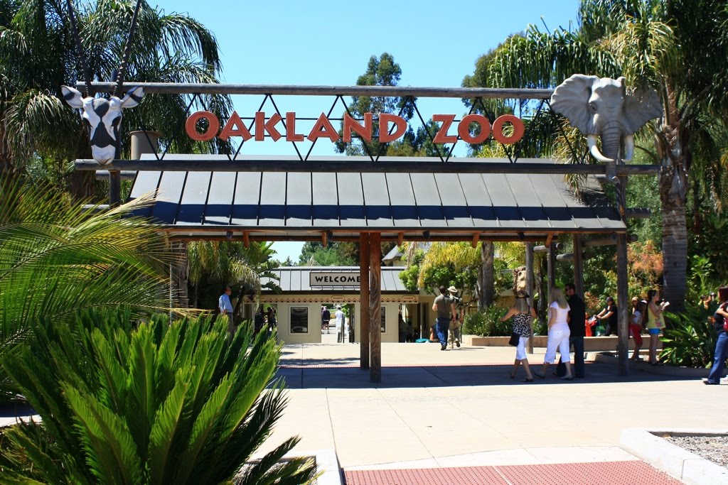 Oakland Daily Photo: it's all happening at the zoo