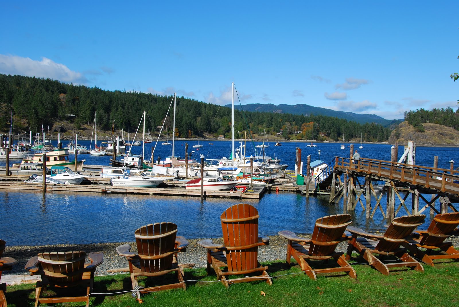 Destinations near and far.: Day 18 - Quadra Island