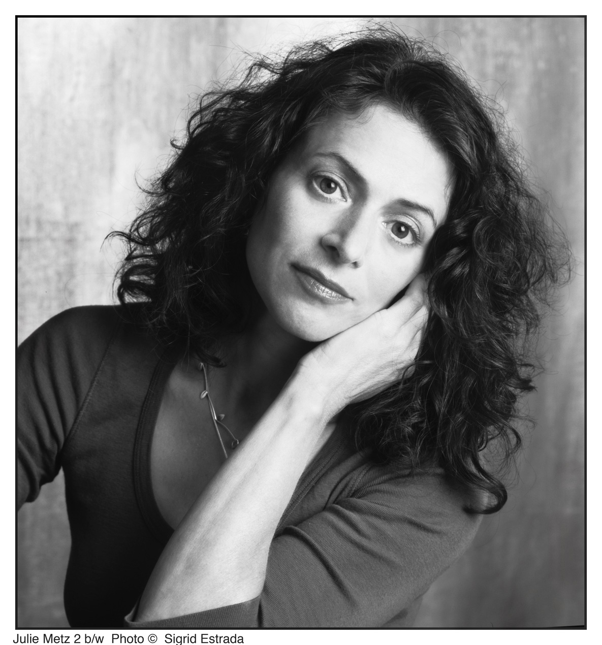 Cyma Shapiro Chats with Julie Metz, author of Perfection ...