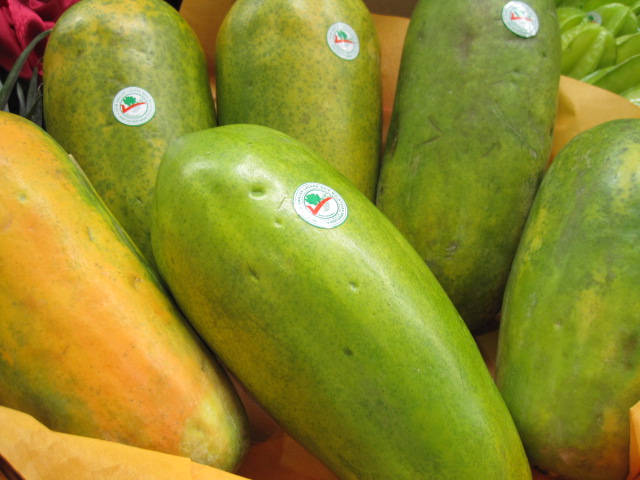 Anim Agro Technology: BETIK