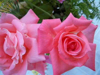 papavero di campo: Ikebana d'estate. Tripudio di rose