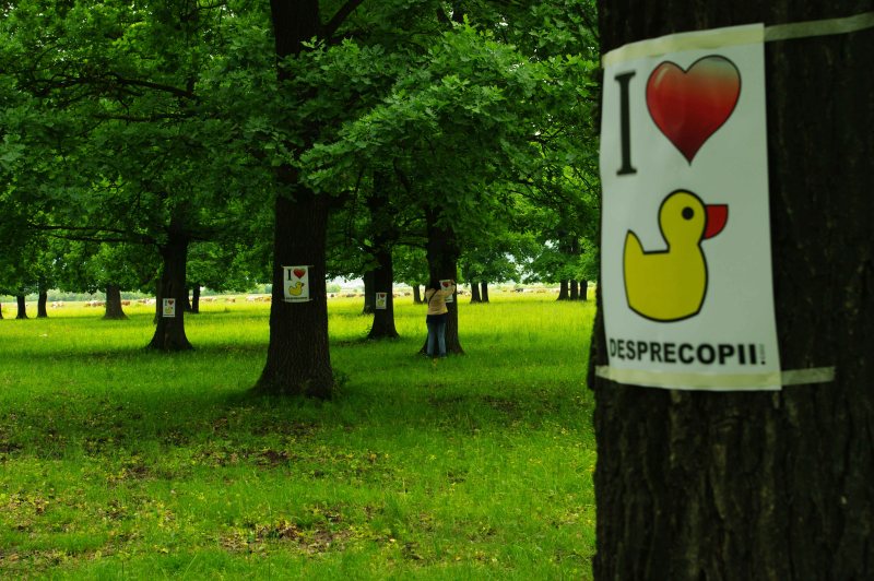 Photo Blog: O poveste cu si despre stejari