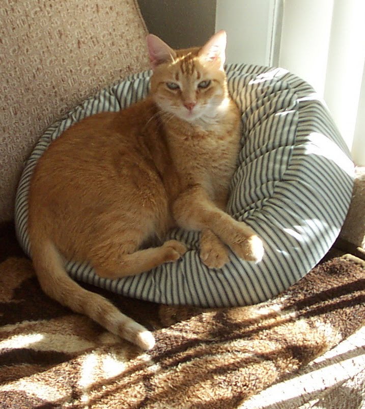 over the cliff, onto the rocks.