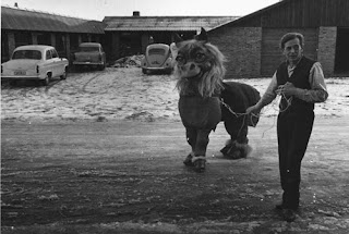 Evertroll: Photos of Thomas Dam