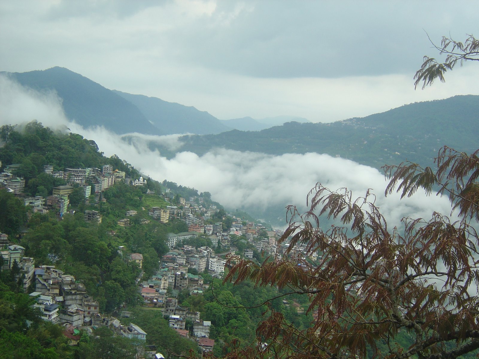 Siliguri Guide: Basics of Siliguri