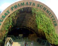 tours of indonesia: Ragunan Zoo