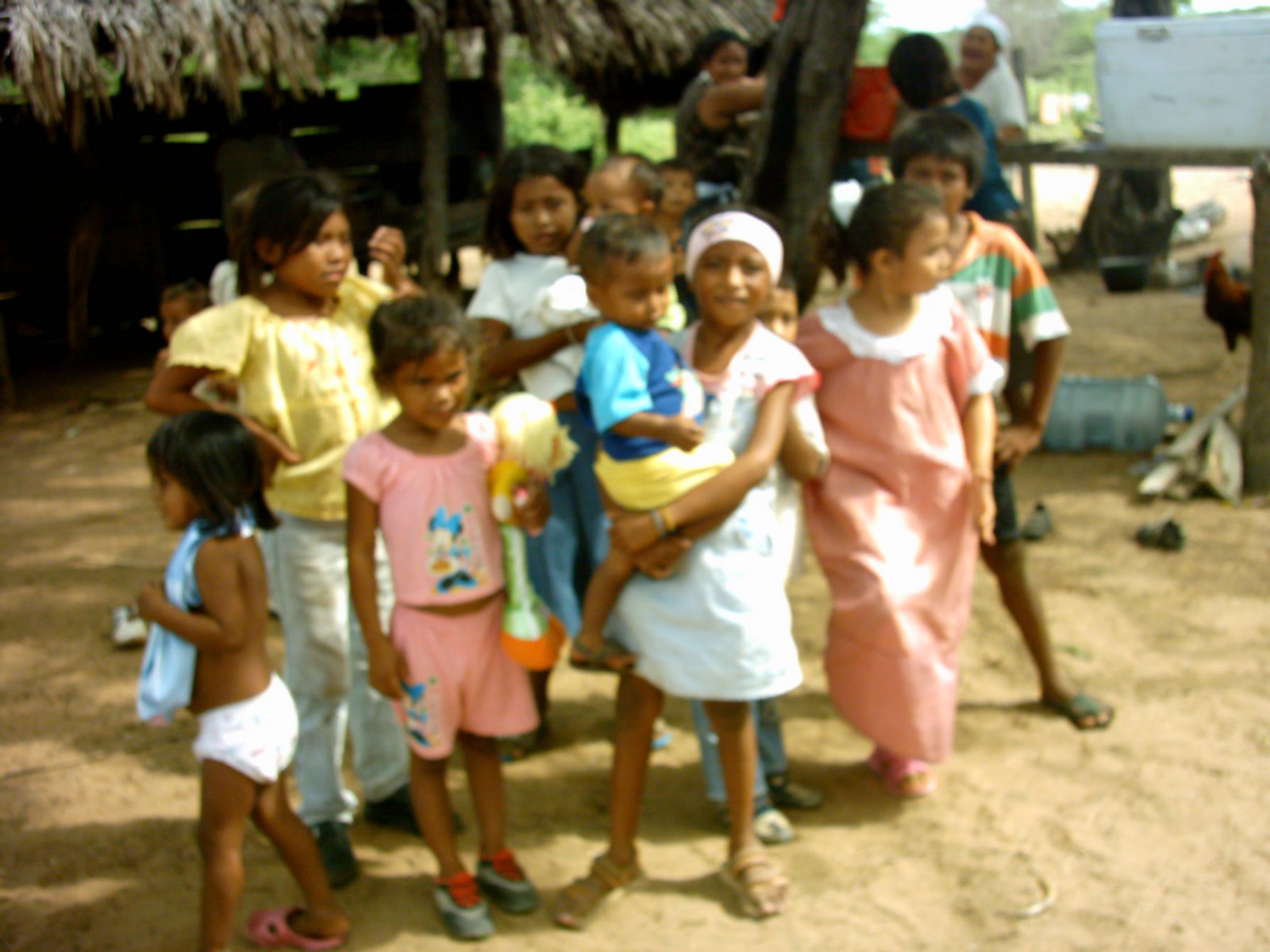COMUNIDAD VIRTUAL : Características de la Comunidad Wayuu
