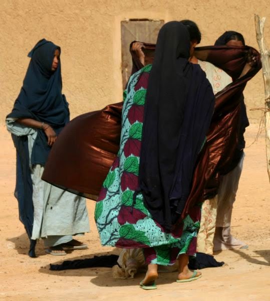 Azawakh Nation: tamasheq