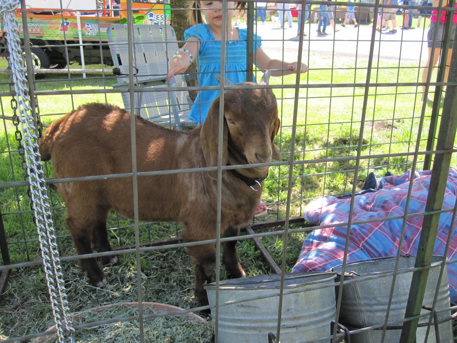 Man Up: Tales of Texas BBQ™: Goldthwaite cookoff: the beasts that roam ...
