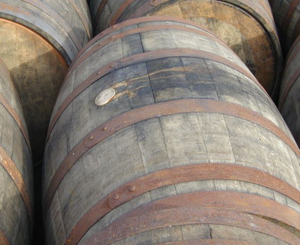 WINE AND CHEESE PARTY