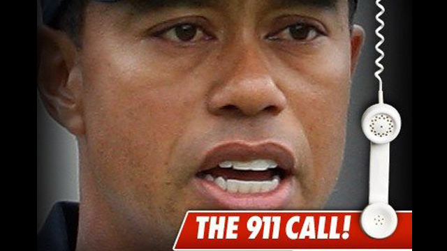 swampstyle: Harping the News