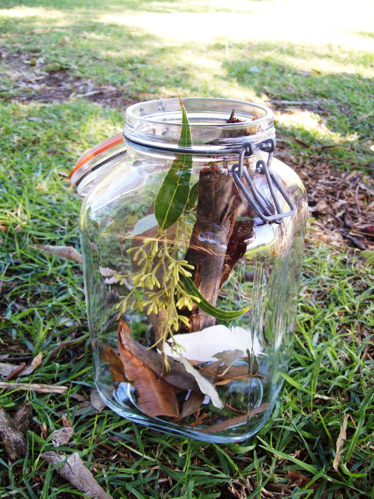 A Little Learning For Two: Nature jar