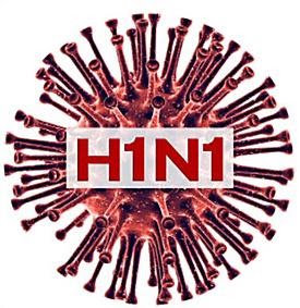 Virus AH1N1: Nuevo virus AH1N1 puede mutar y generar una pandemia ...