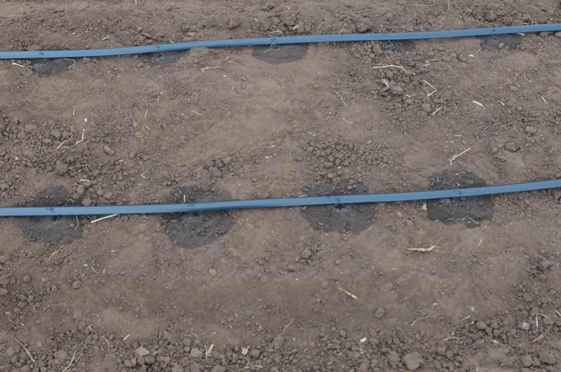 Manna 4 Malawi: Gravity Drip Irrigation at Matapila