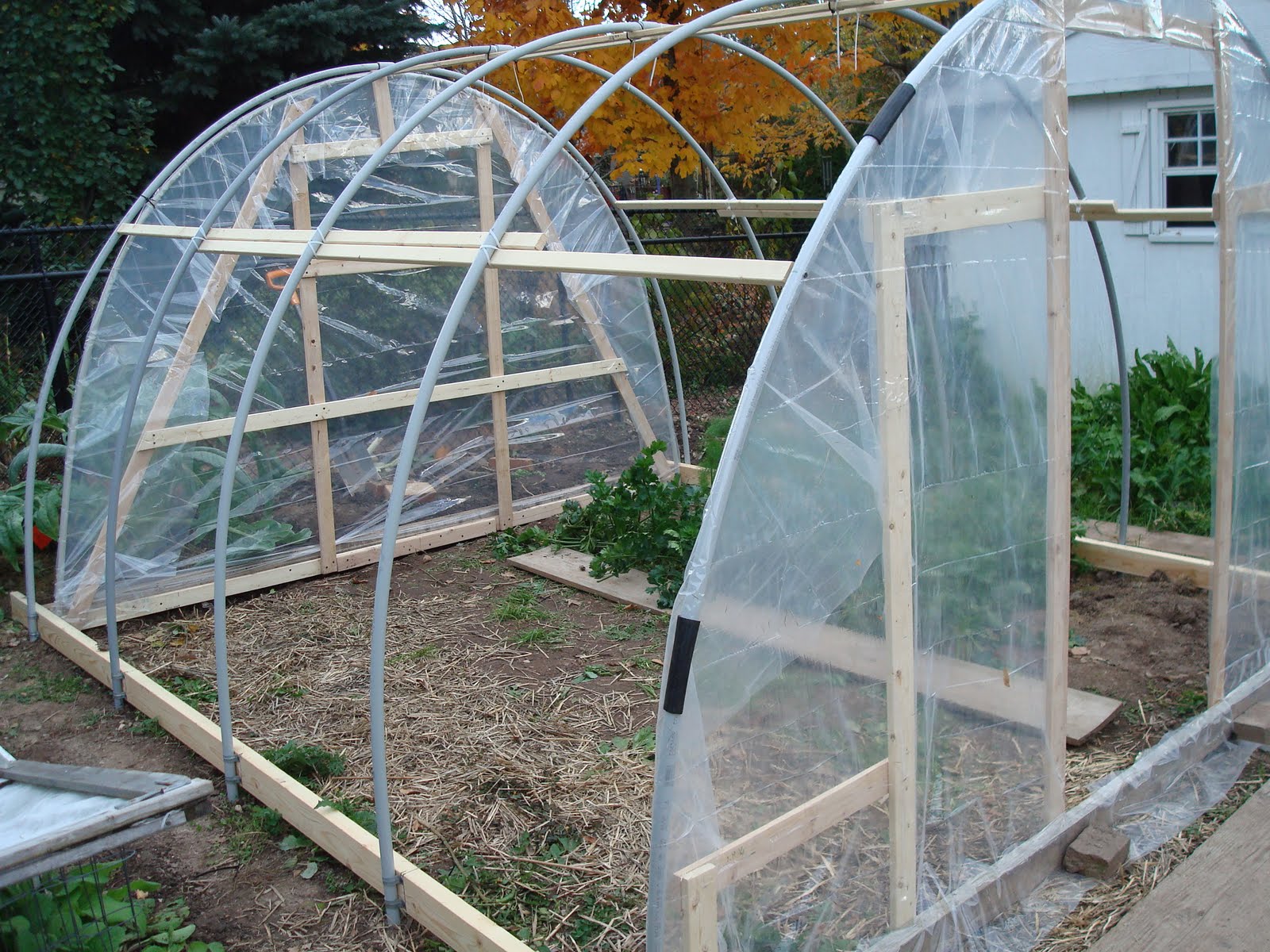 The Vegetable Garden: New Hoop House