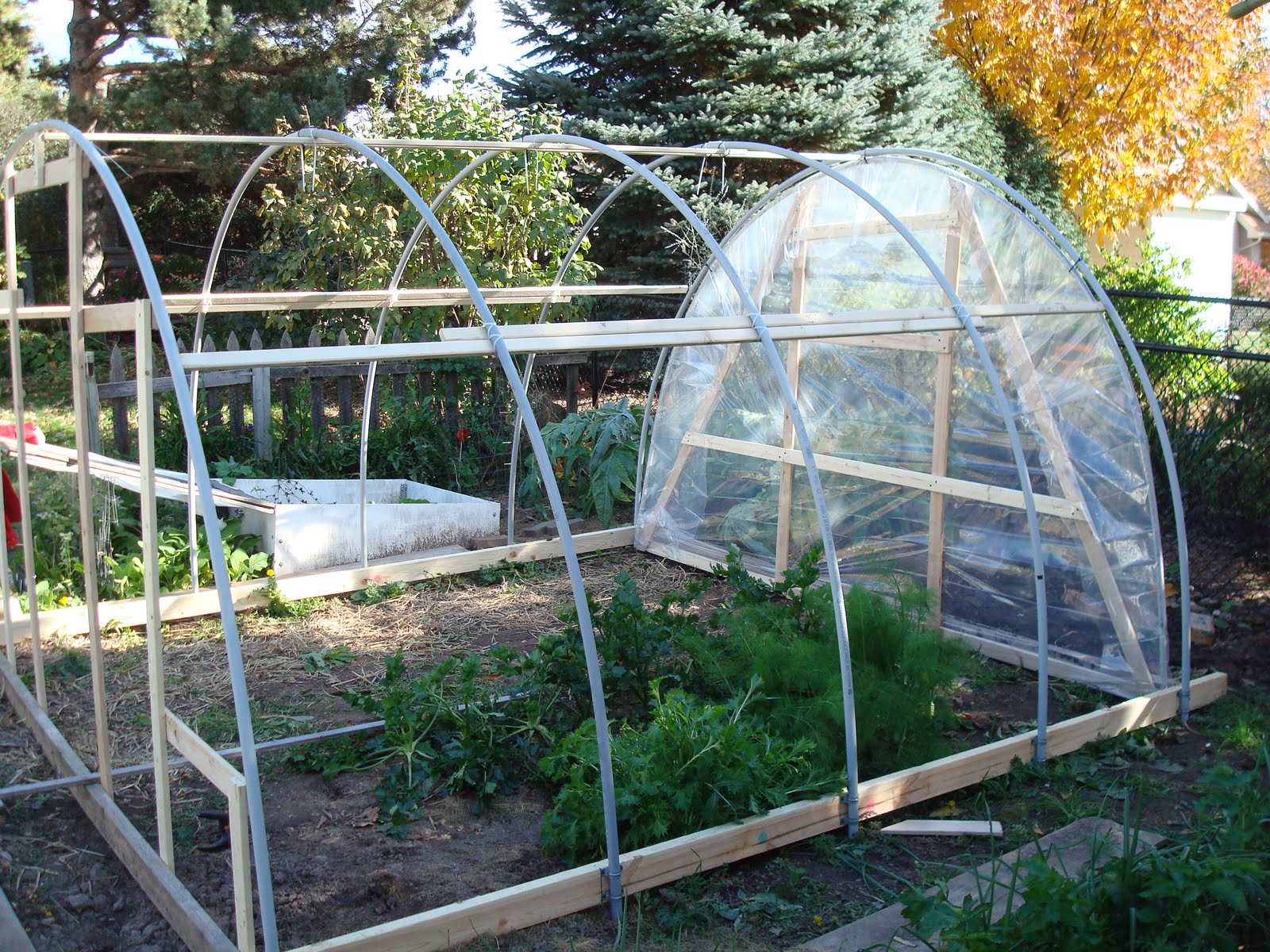 The Vegetable Garden: New Hoop House