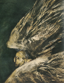 Clase De Español: Un señor muy viejo con unas alas enormes