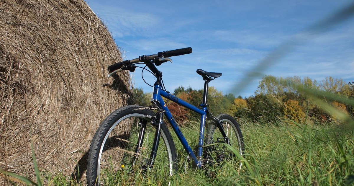 kleinfreundeweimar: Bike Tech Toyo