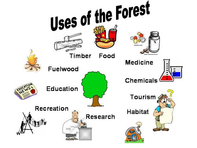 Geography & Cartoon Blog: Natural Vegetation - Uses of the Forest