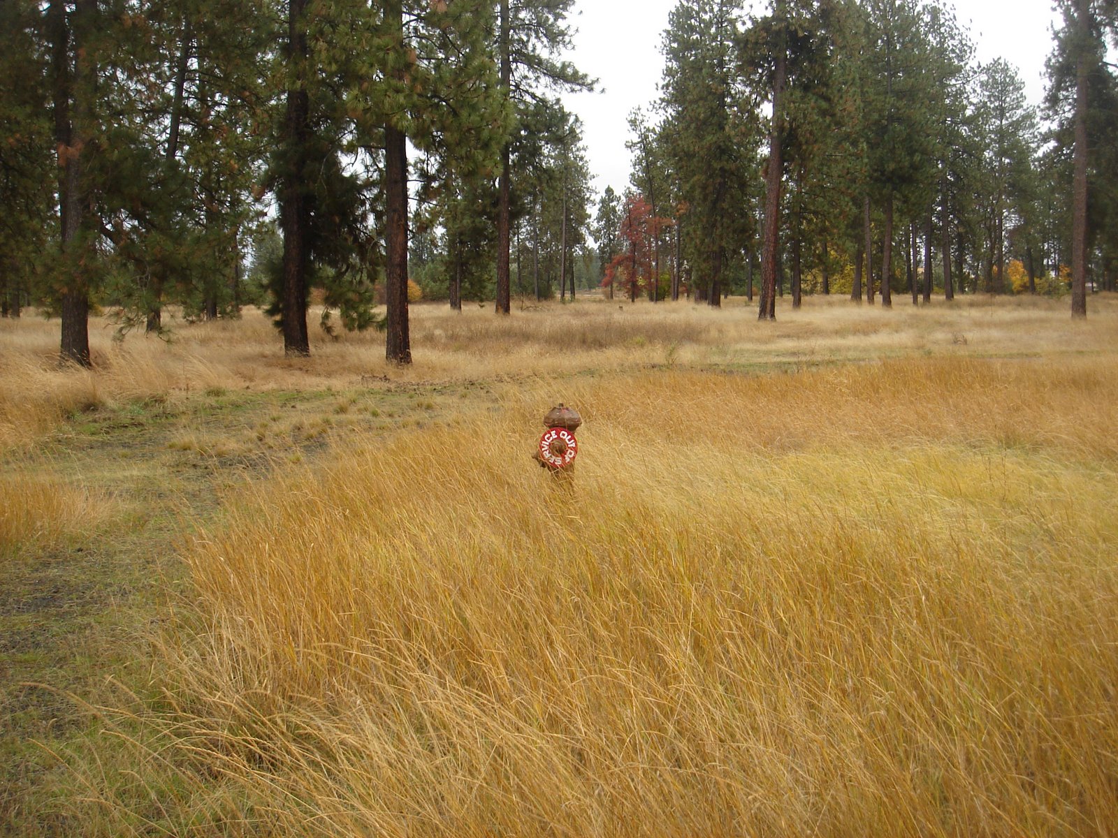 Spokane Up Close: Geiger Field (World War II)