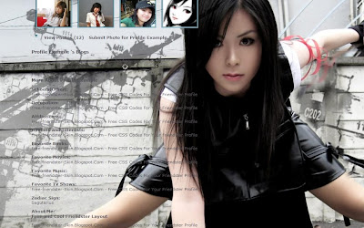 Free Friendster Skin