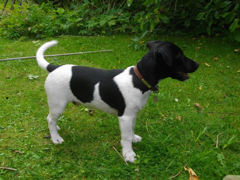 PATTERJACK TALES: August 2010