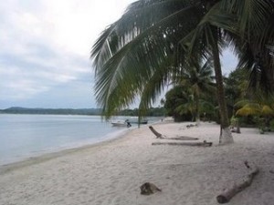 Puerto Barrios, Verde: Punta de Palma.