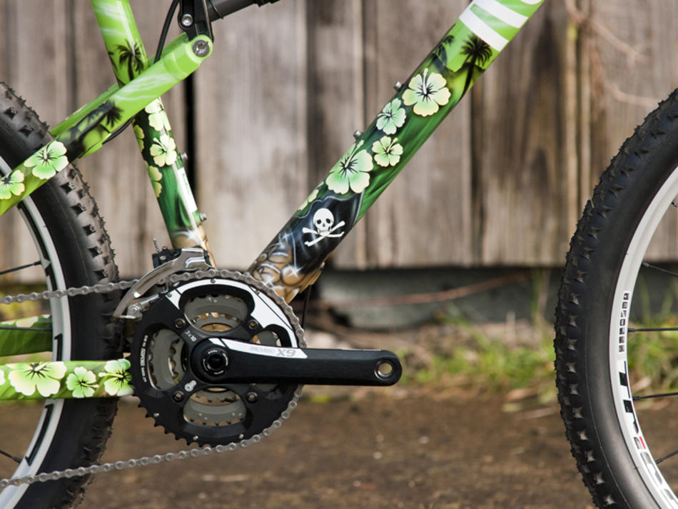 .:pontiancyclingdude:.: Rose bike custom paintjob