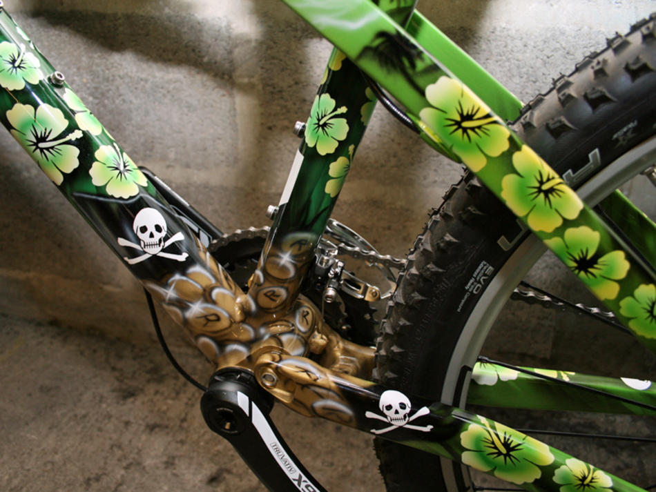 .:pontiancyclingdude:.: Rose bike custom paintjob