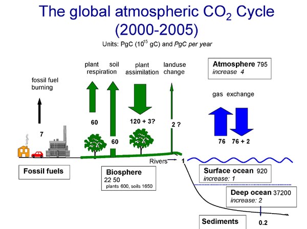 Climate Feedback Cycles
