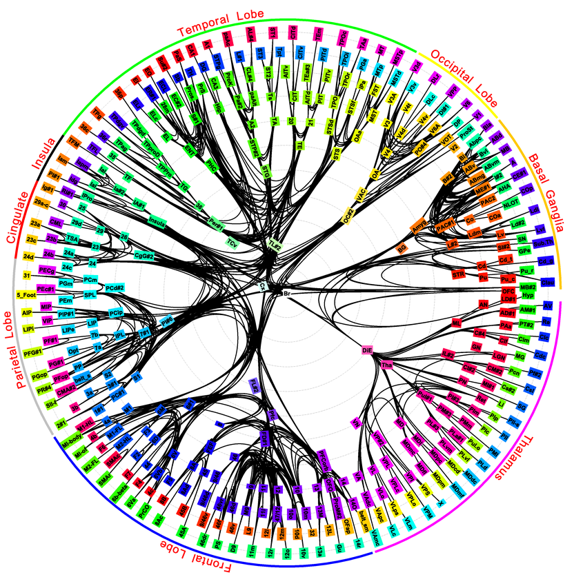 Al Fin: Information Overload: Visual Images Make Data Coherent