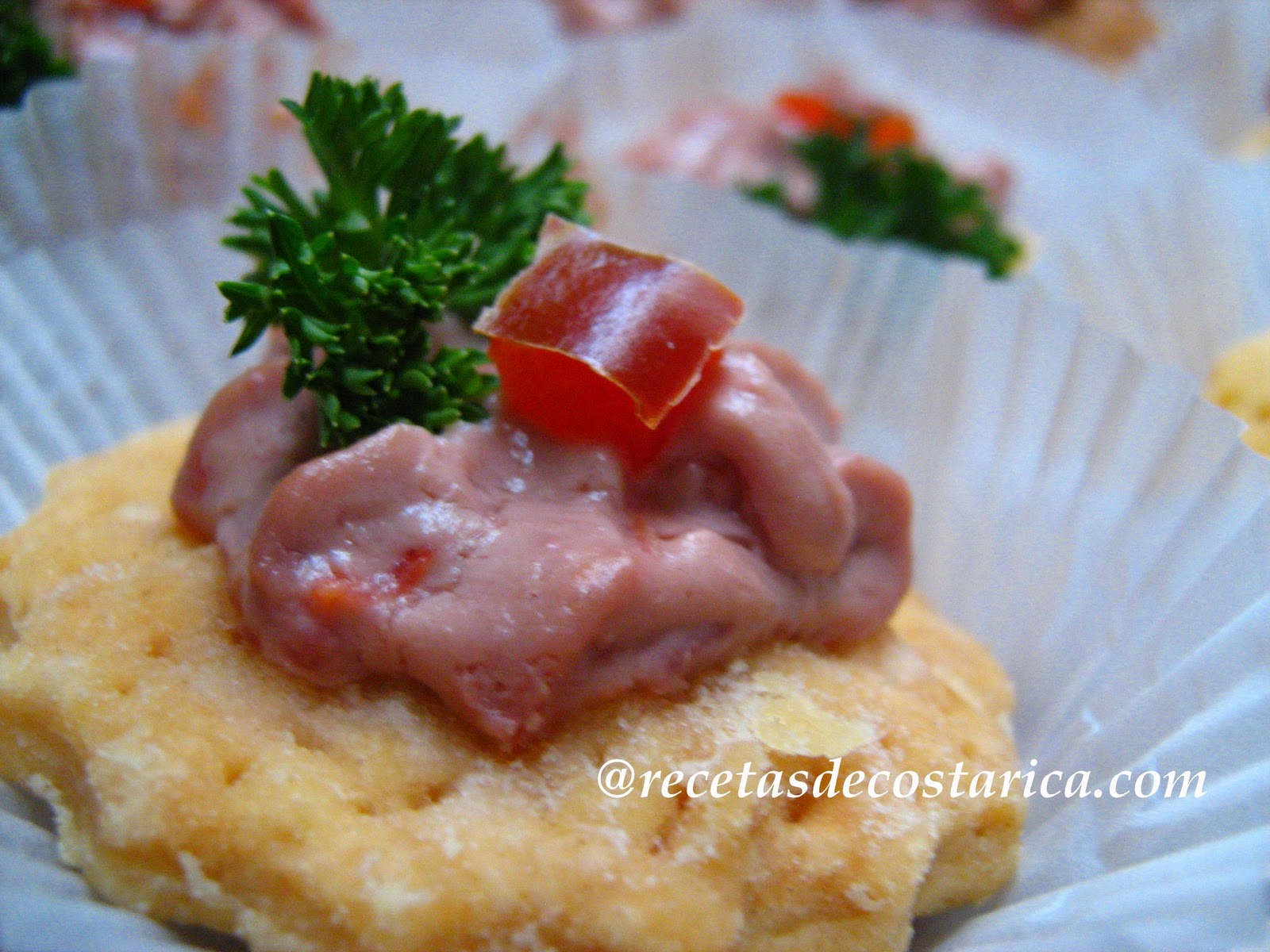 Cocina Costarricense: dips de paté