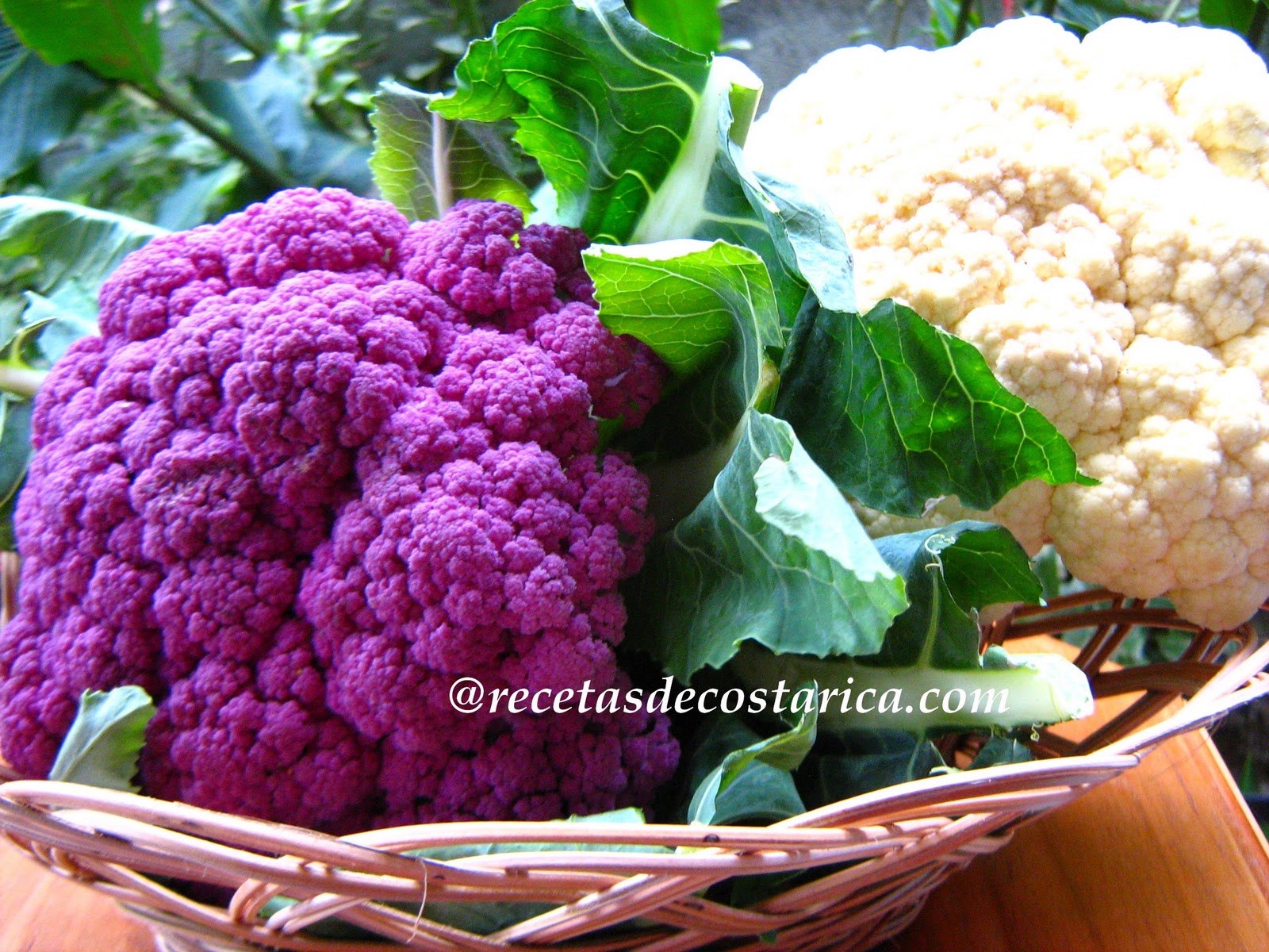 Cocina Costarricense: coliflor morada