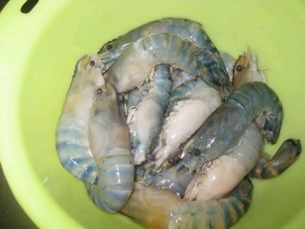 My Life: Baked Cheese Prawn Recipe(Big Head Freshwater Prawns)