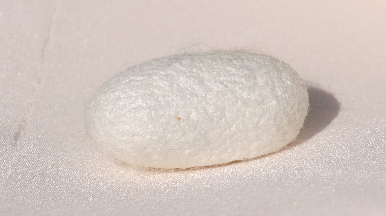 Ajándék galéria: Selyem ABC