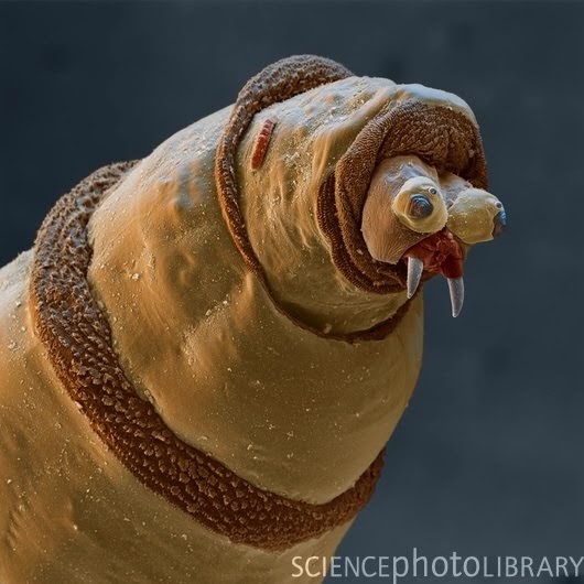 67 Not Out: Beware - The Aliens Have Arrived!