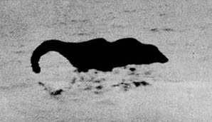67 Not Out: The Cornish Mystery Of Morgawr Monster Of The Seas